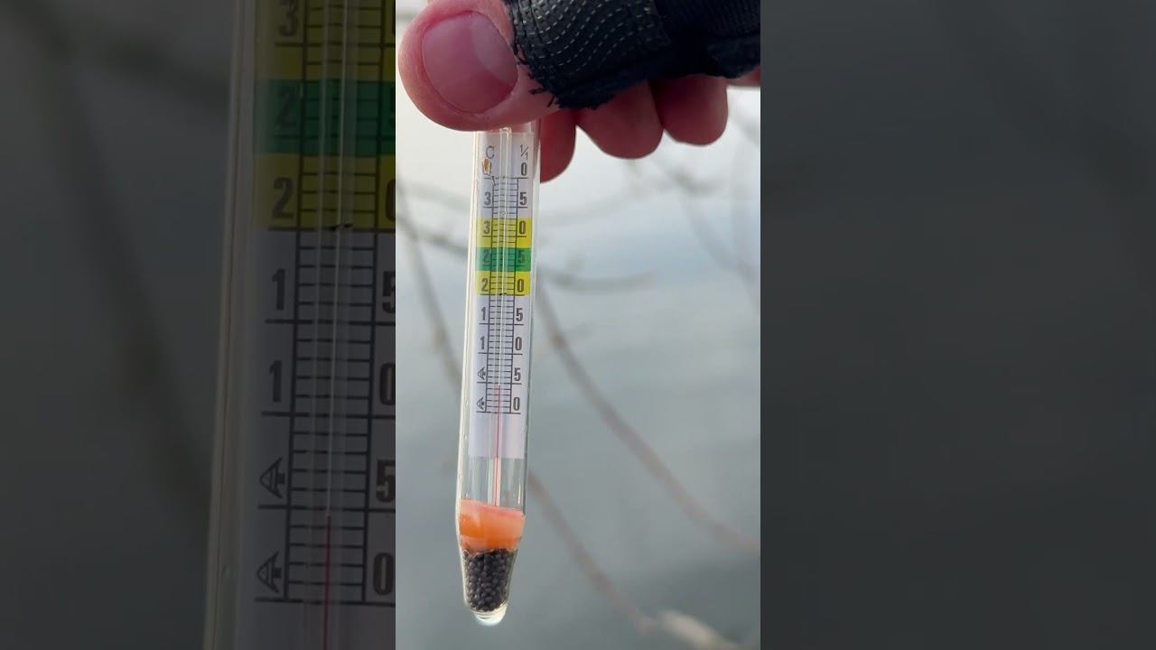 02.03.2024 температура воды в реке Понура.