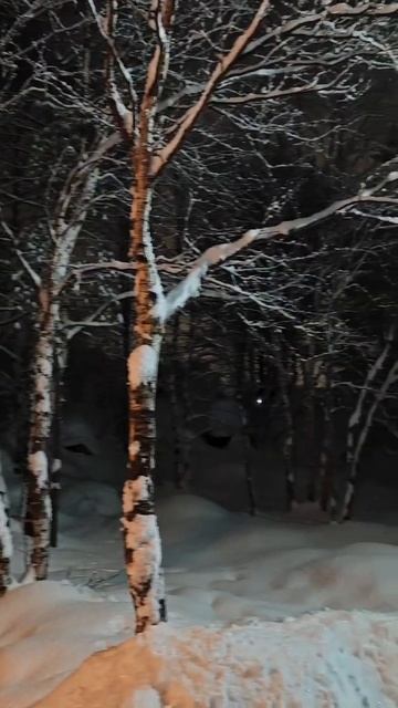 Миссия_встреча_нового_года_выполнена_#christmas