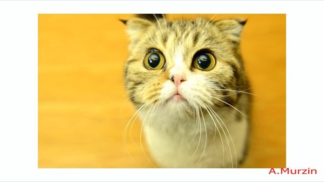 Cities In The Clouds 26