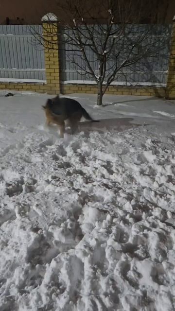 Новогодний привет от Баларис ИМИДЖ, 7 лет