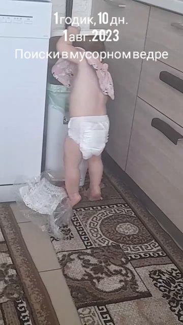 12 мес.,10 дн. Поиски чего то в мусорном ведре. 1 авг.2023.mp4