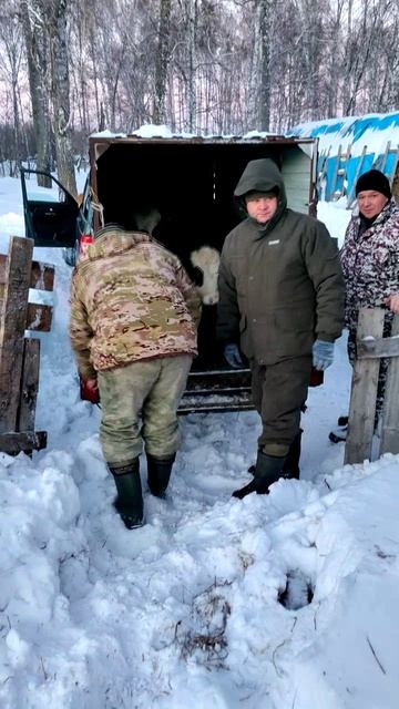 Сезон 2026 уже начался! Пока вы ели салаты... 😱