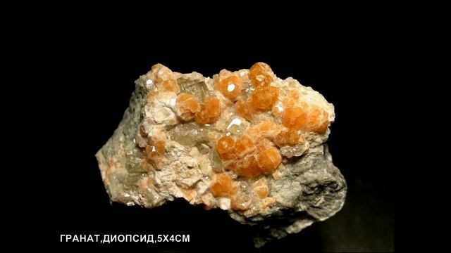 Жила Хребет.