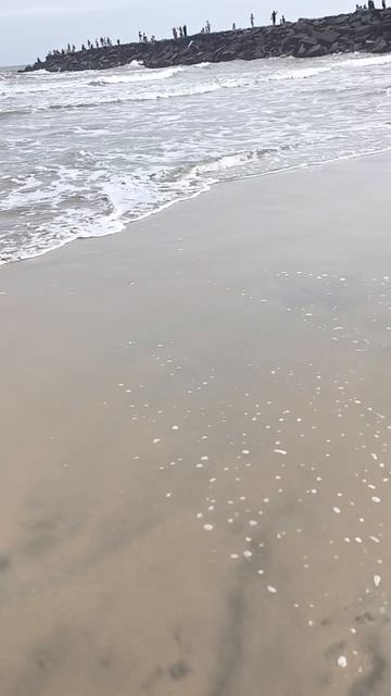 На индийском пляже и взрослые и дети строят крепость из песка.