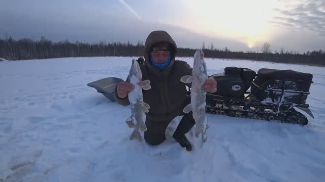 ОНИ ВЫШЛИ И КЛЮНУЛИ, ТОЛЬКО КОГДА?! ПОСТАВИЛ ЖЕРЛИЦЫ В ЛОГОВО БОБРОВ \ ПЕРВЫЙ ВЫЕЗД ПОСЛЕ МОРОЗОВ !