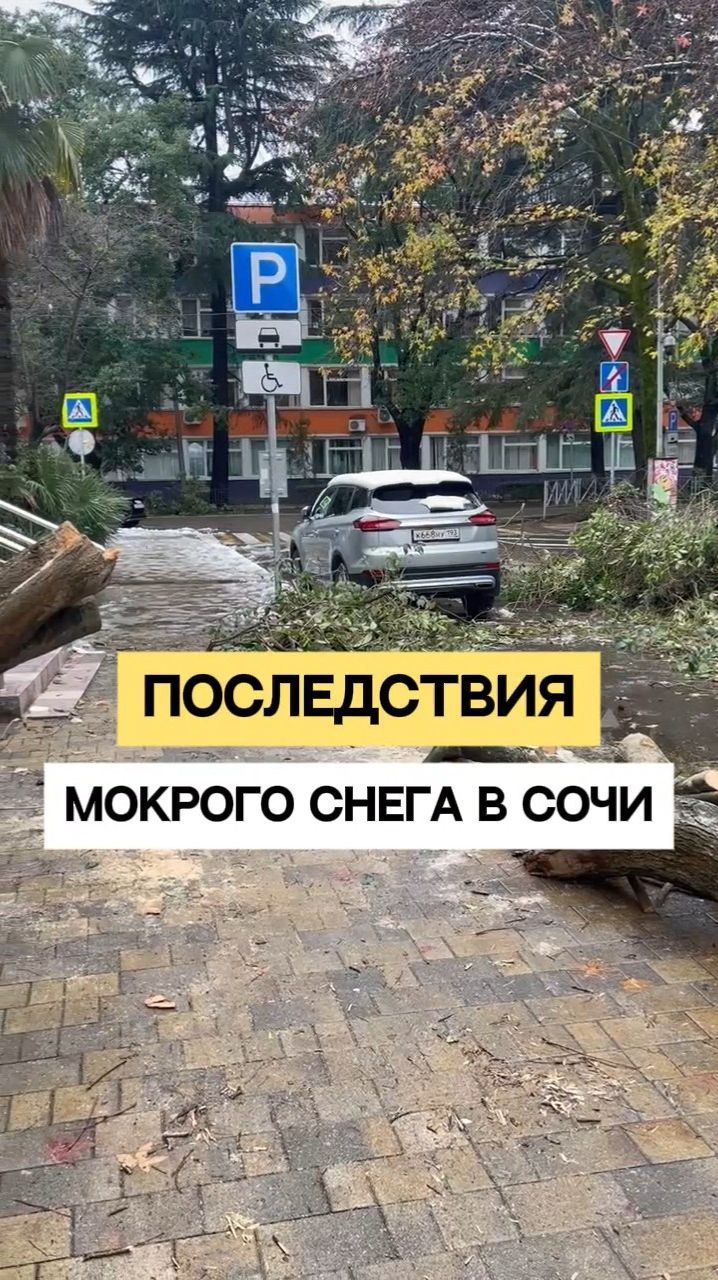 Последствия мокрого снега в Сочи