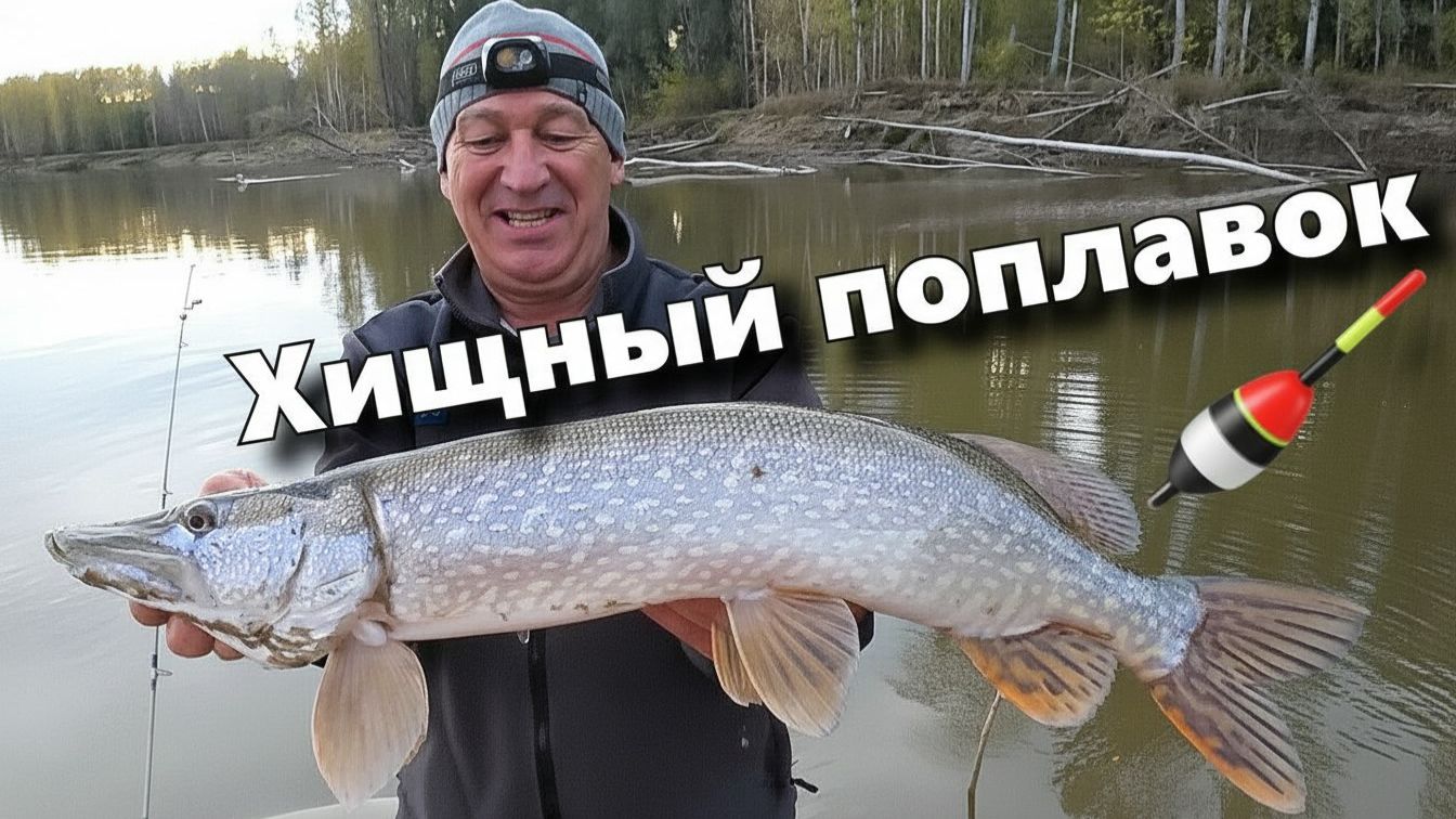 Как ловить щуку на ХИЩНЫЙ ПОПЛАВОК