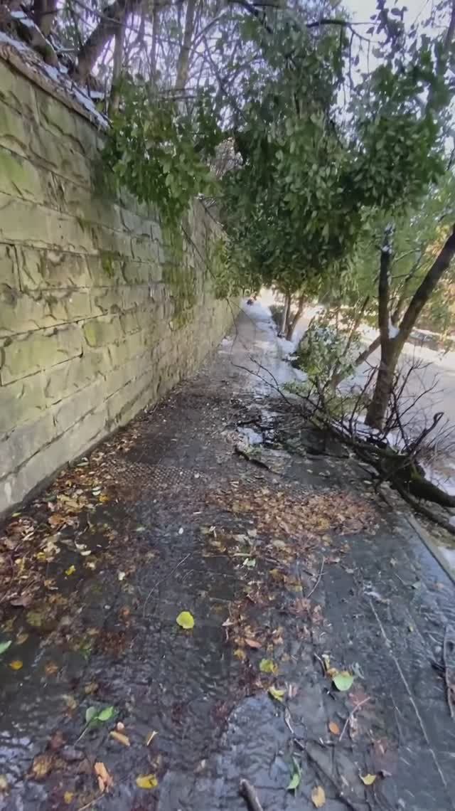 Постапокалипсис