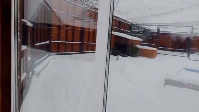 ELSL3849 шархан 02.01.2026 Видео от Ивана