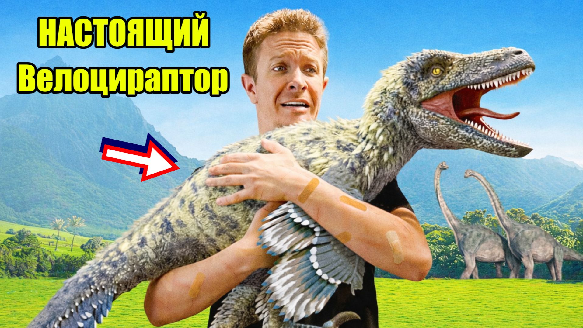 Реальные Размеры Динозавров и Факты о Них