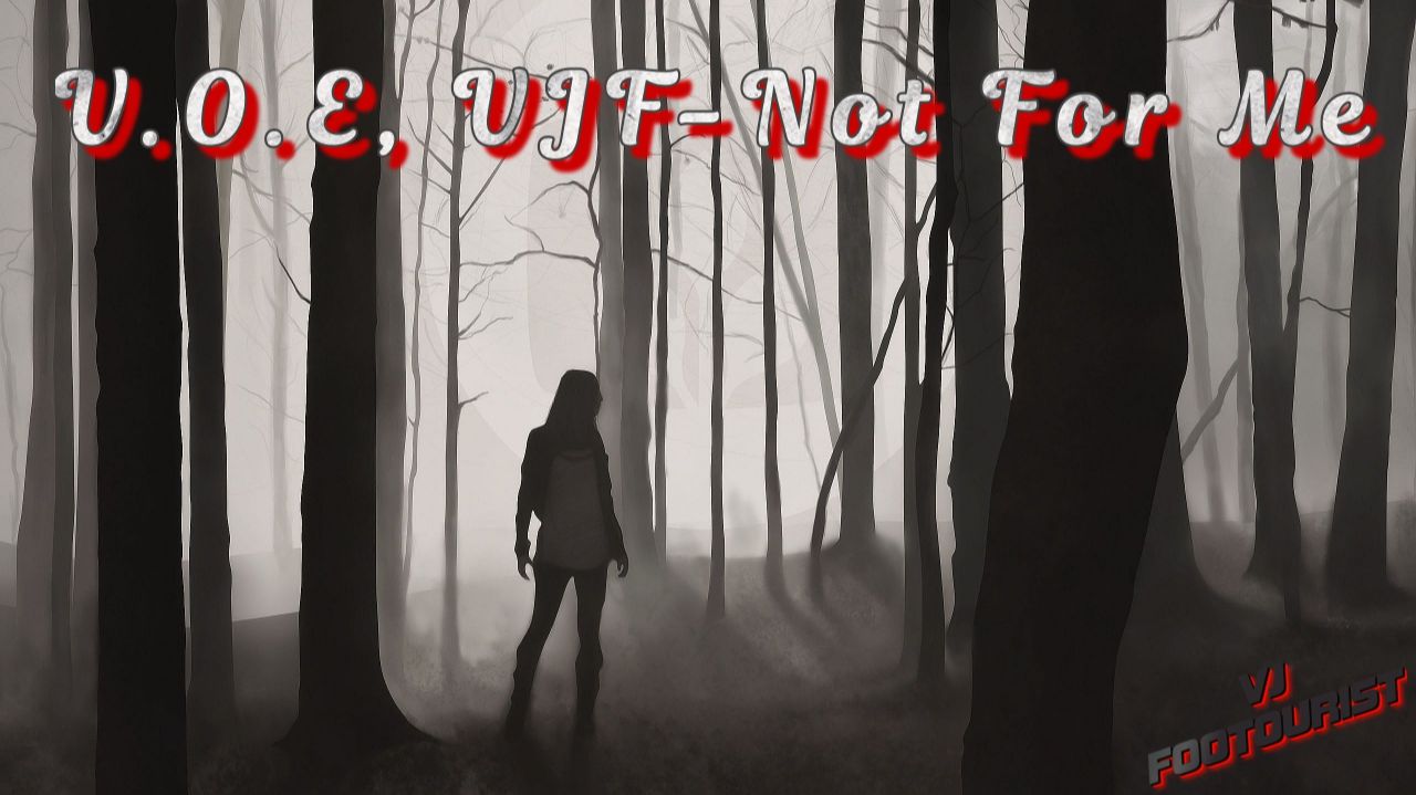 V.O.E, VJF - Not For me