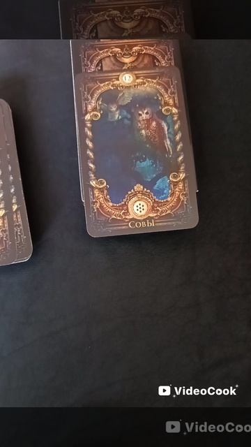 Карта дня #таро