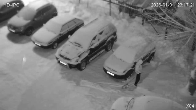 Кто кого выгуливает ?