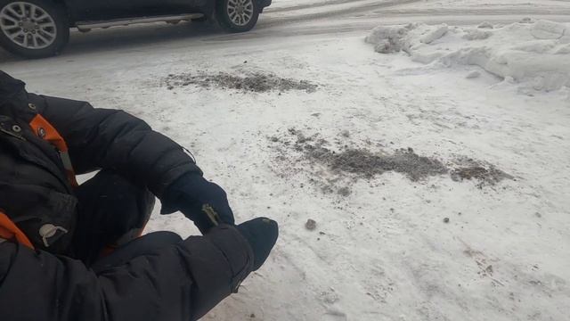 Рубцовск. Иней в городе. 😊