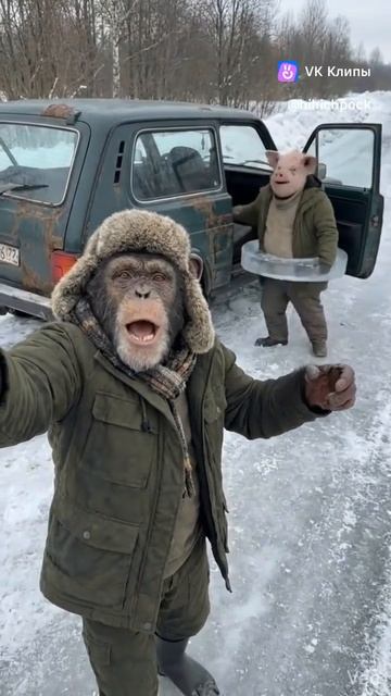 Нейросеть_ приколы