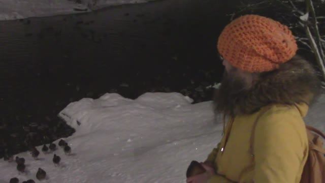 [ Род Да’Арий ] Кормим Вольных  Уточек на Реке Сестре  .