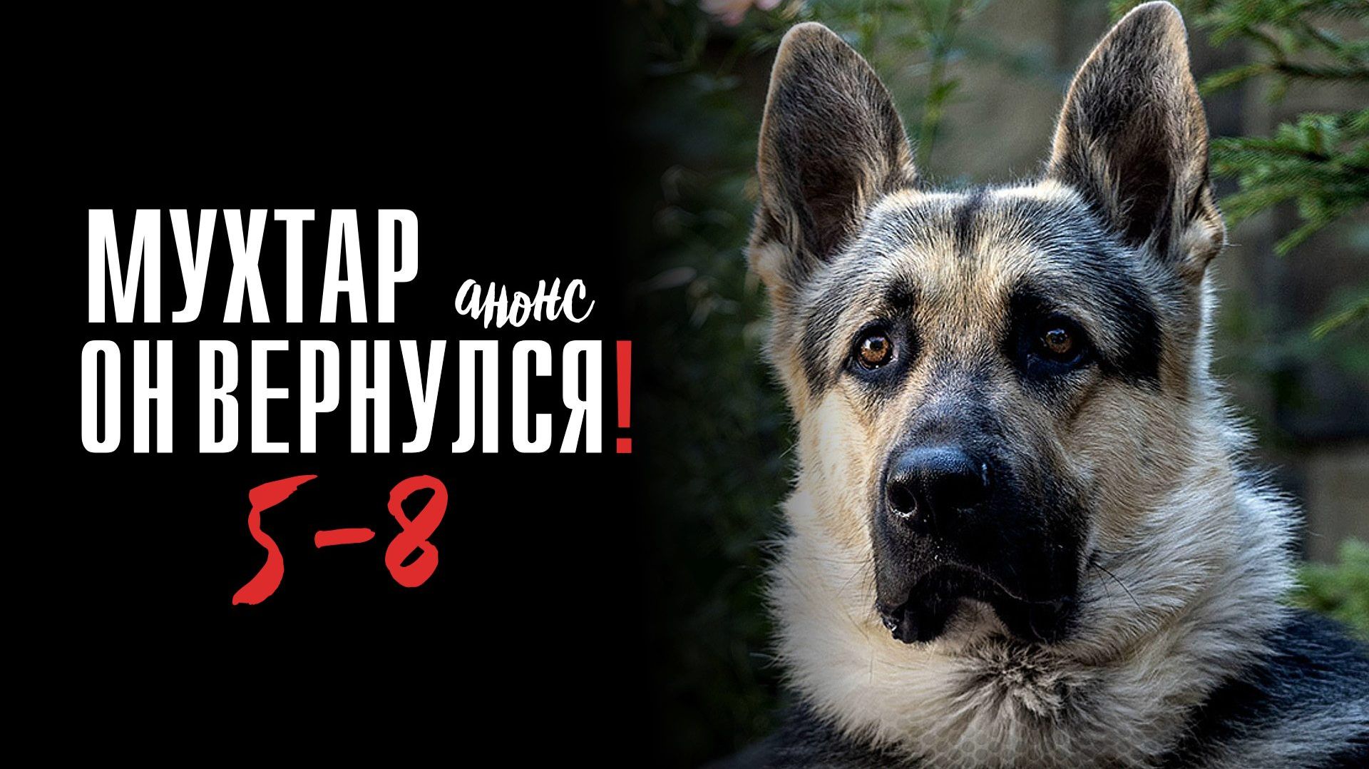 Мухтар Он вернулся 5-8 серия (2026) Анонс и дата выхода на НТВ