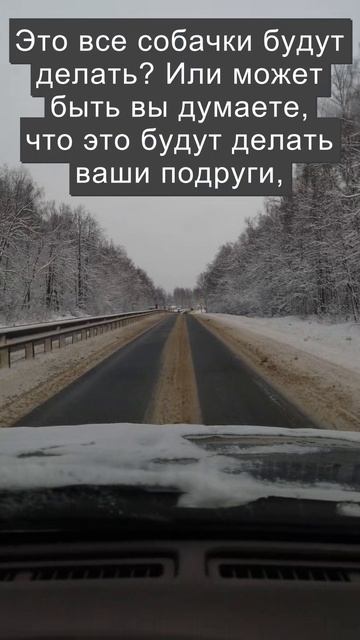 Вопрос девушкам, которые заводят собачек вместо детей