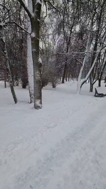 Парк героев Первой Мировой войны в Москве