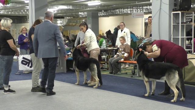 Моншер Вирсаль Гималай