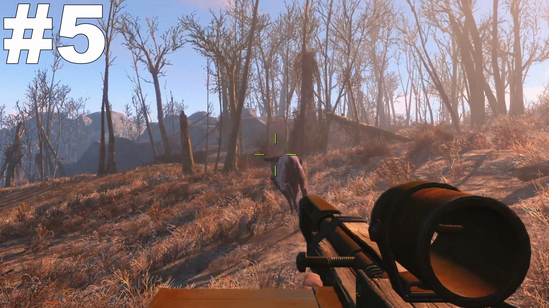 ▶Fallout 4. Сэнкчуари. Первый шаг. #5