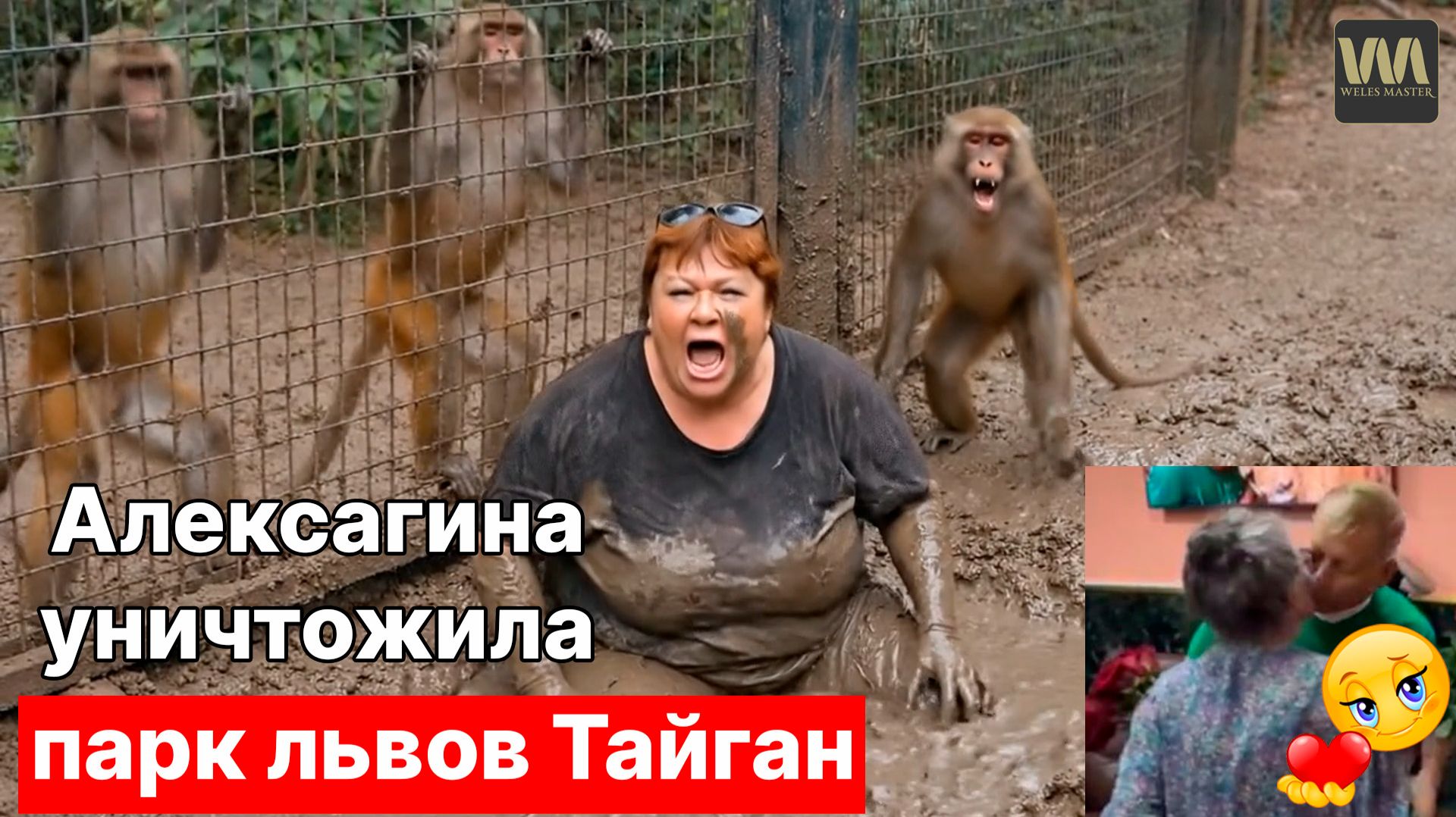 Алексагина уничтожила все ценности "Парка львов Тайган". А я предупреждал)