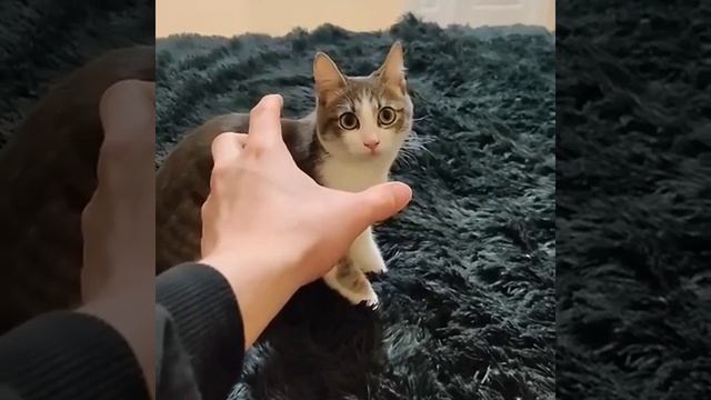 Контратакуем руку смерти