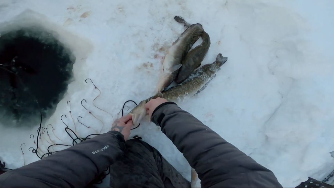 Рыбалка у чëрной дыры. Ловля налима. Тридцатая серия.