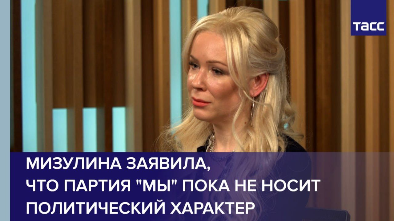 Мизулина заявила, что партия "Мы" пока не носит политический характер