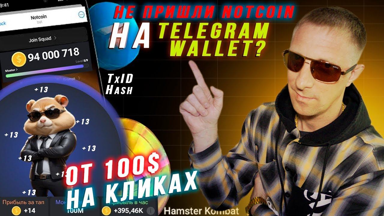 HAMSTER KOMBAT-Раздает Деньги | НЕ ПРИШЛИ Токены НОТКОИН-Как Вернуть?