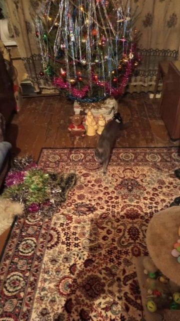 Небольшая подборка фотографий с празднования Нового года!!! Продолжение следует!!!