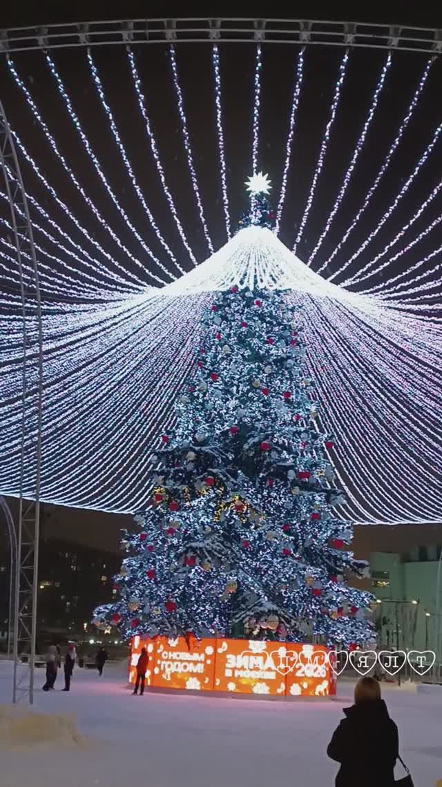 Городская ёлка в парке Ходынское поле. Москва, 03.01.2026 (19:32). м. ЦСКА, 1-й выход.