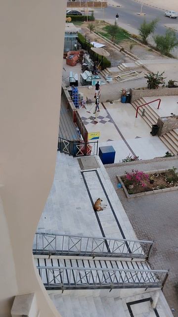 Уборка Дрим Маркет Хургада Египет