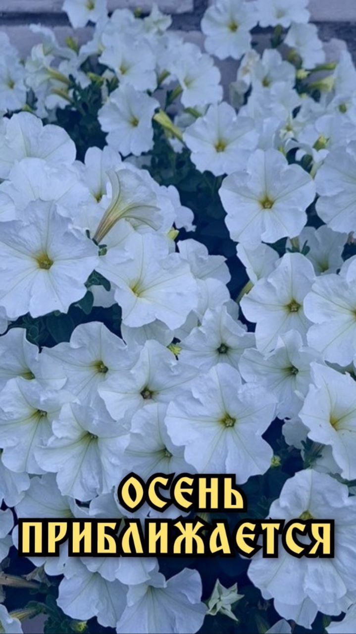 Осень приближается