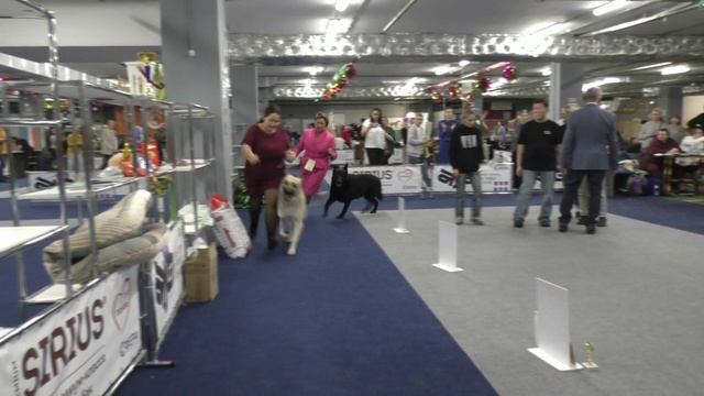 Сравнение-расстановка класса чемпионов