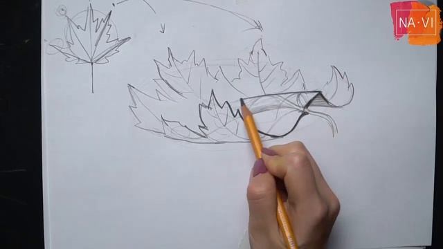 СЕКРЕТ ХУДОЖНИКА. Надежда Ильина. Анализ формы кленового листа