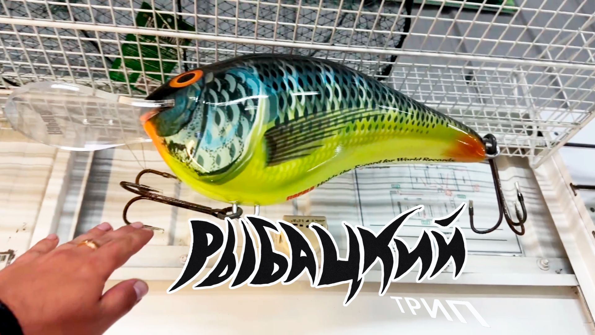 самый большой воблер