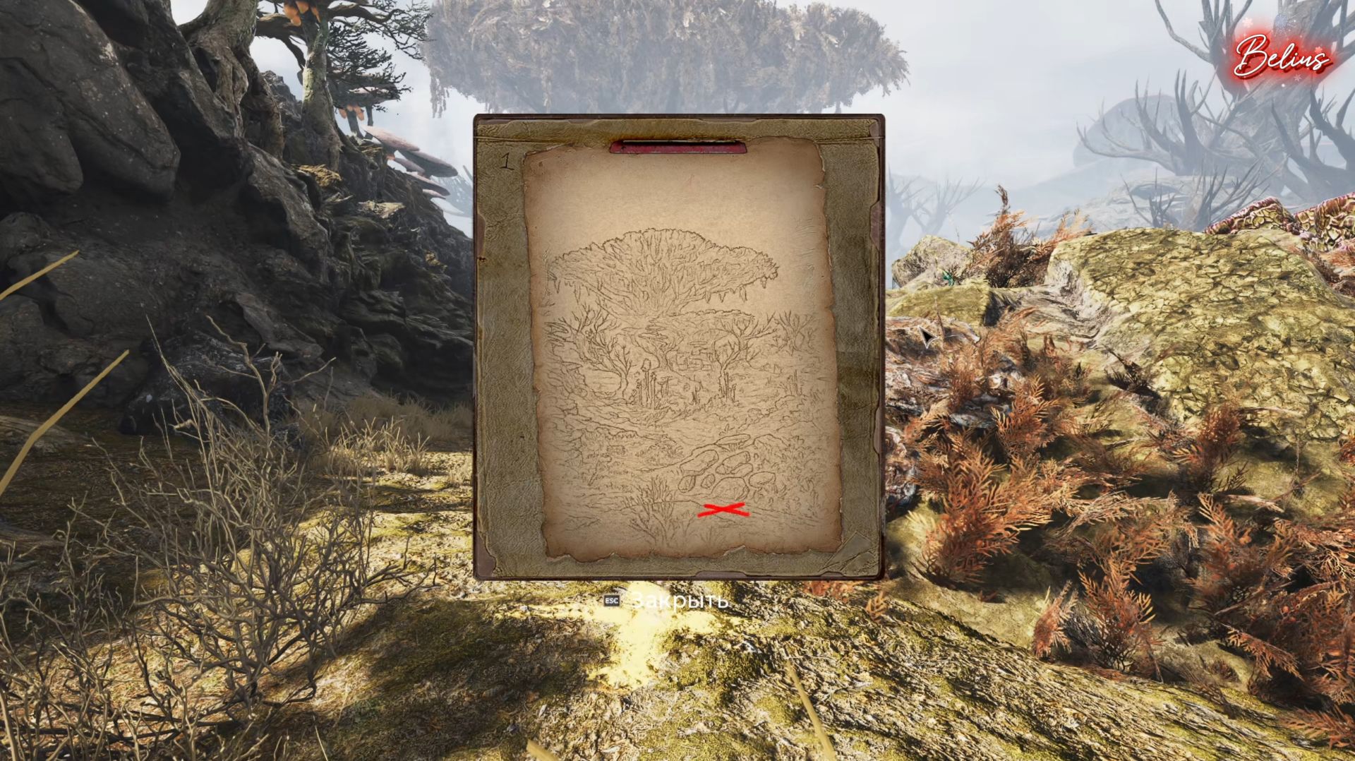 КАРТА СОКРОВИЩ ГРИБНАЯ РАВНИНА...  ГДЕ ИСКАТЬ? PIONER