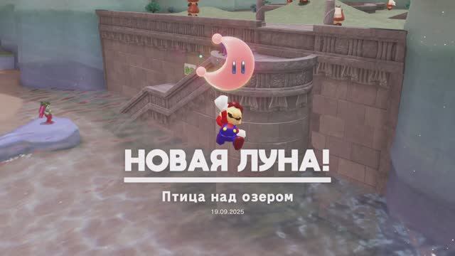 Птица над озером