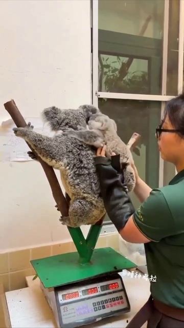 Время взвеситься