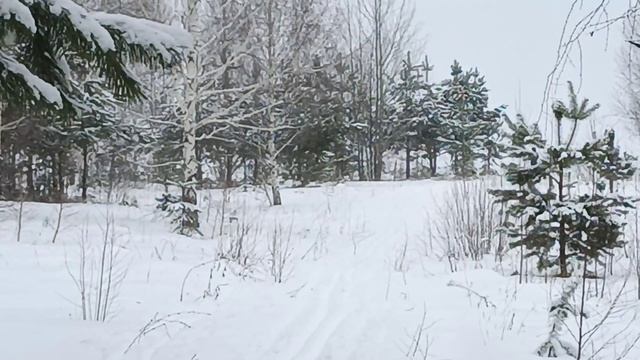 Белым  снегом...