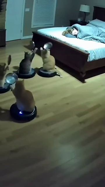 Так оно и было