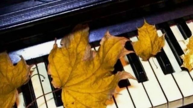 Девушка ночь