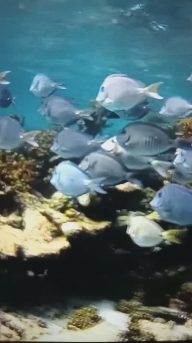 Загадочные глубины морей и океанов😮😳🤔