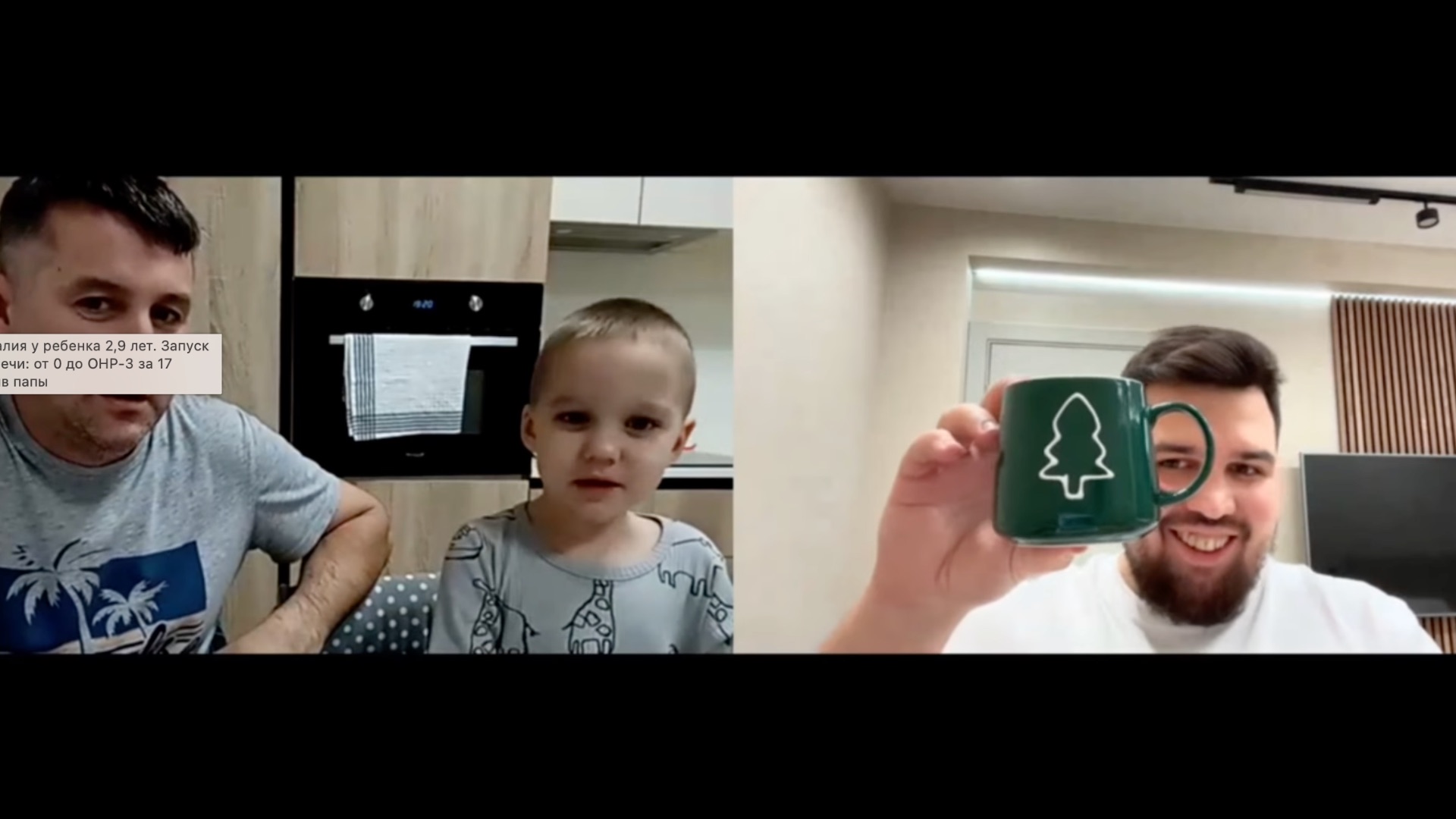 Сенсорная алалия у ребенка 2,9 лет. Запуск понимания и речи: от 0 до ОНР-3 за 17 месяцев. Отзыв папы