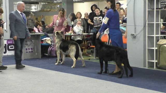 Герцеговина-Град Лавр