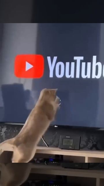 Ускоряем ютубчик