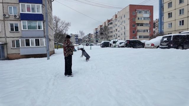 утро 2 января 2026.