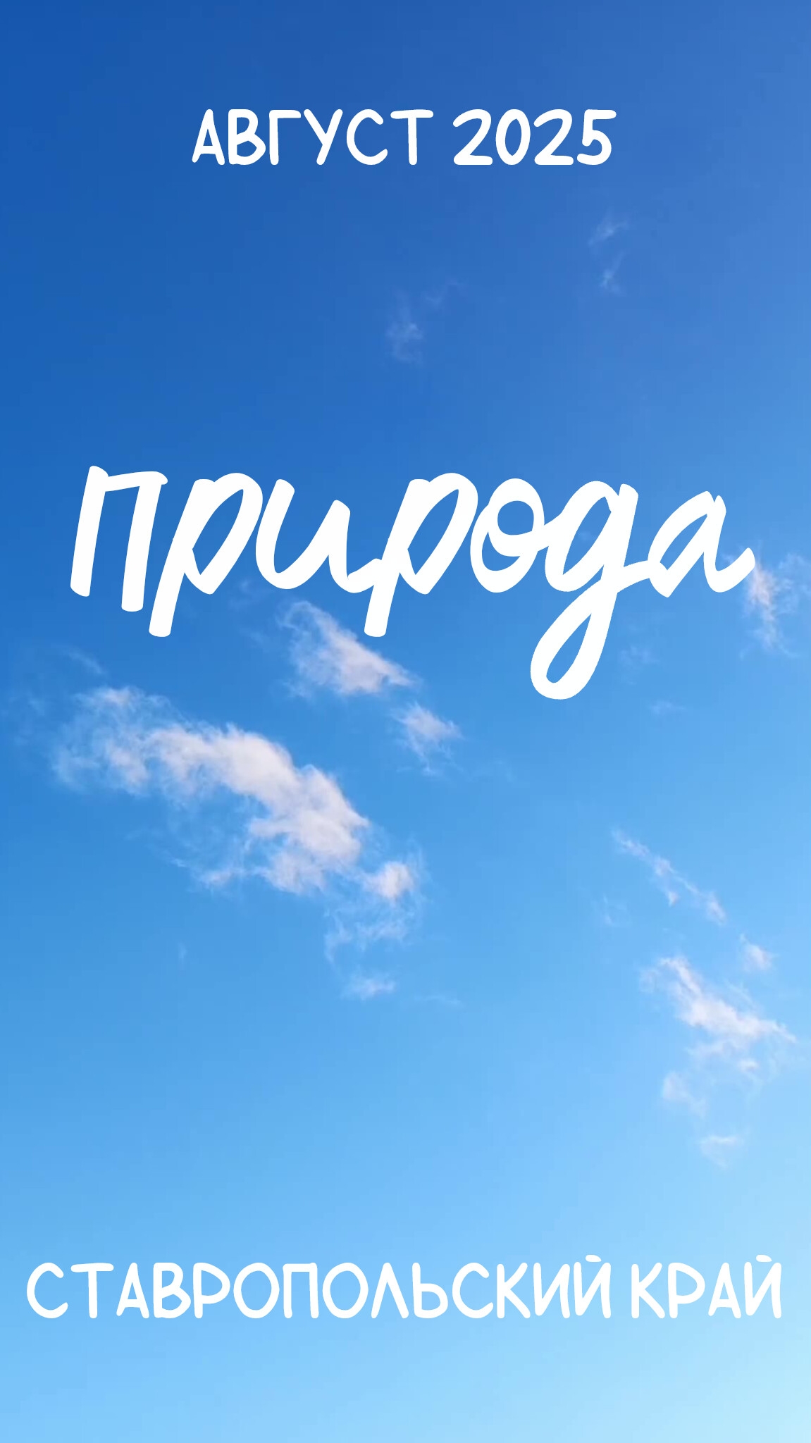 Природа. Август 2025 года. Ставропольский край.