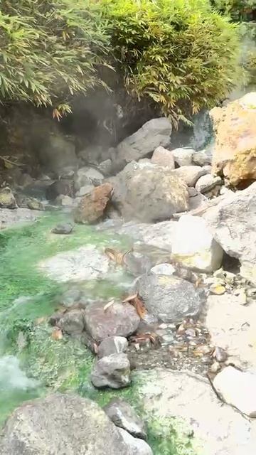 Горячий ручей Итурупа  2